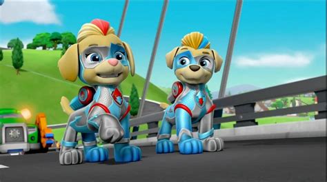 Tuck And Ella Paw Patrol Heroes Wiki Fandom