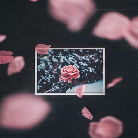 Chi Chill Intro G Lyrics Genius Lyrics