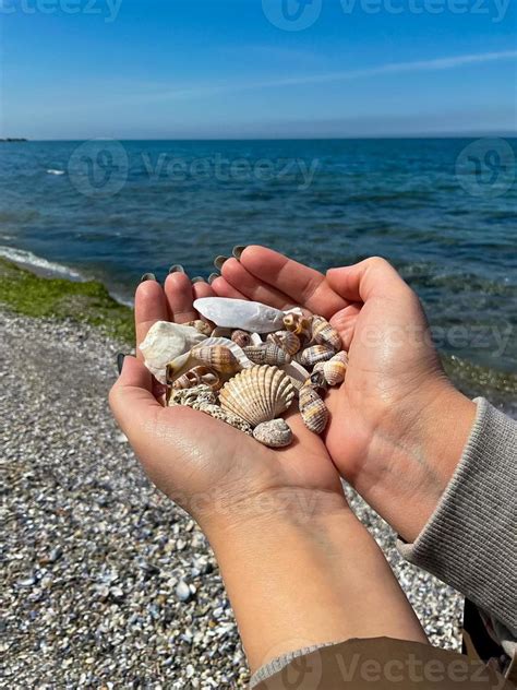 Best Beach To Collect Shells Uk At Julie Solberg Blog