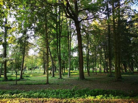 Відгуки про Центральний парк ім Лесі Українки в Луцьку фото ціни розваги