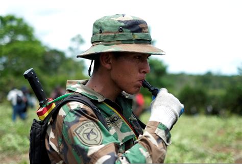 Bolivia Tomada Por Los Narcos Las Bandas Internacionales Que Operan