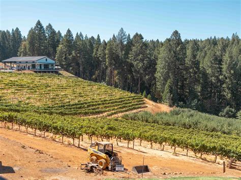 Ultimate Guide To Apple Hill California