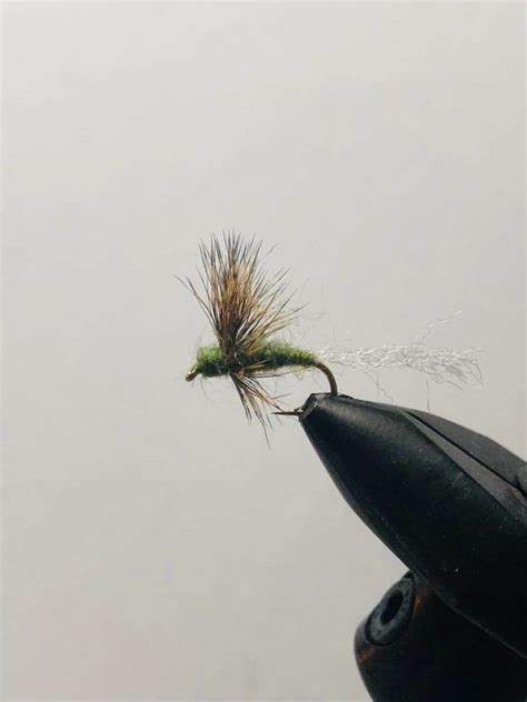 Baetis Sparkle Dunn West Coast Flies