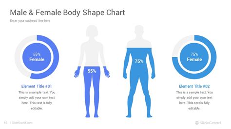Shapes Charts PowerPoint Template Designs SlideGrand