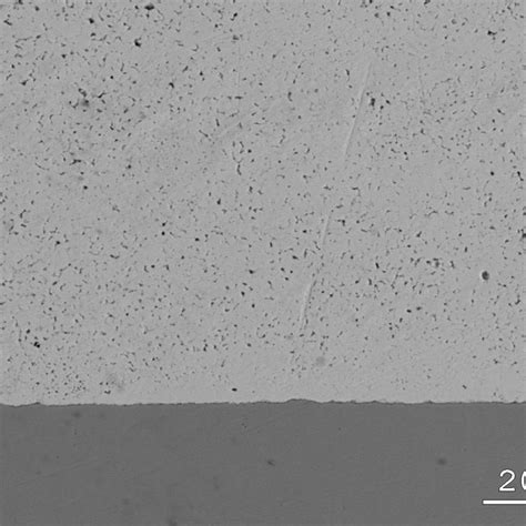 The Microstructure Of The Sintered Nanosilver Layer In The Sample Download Scientific Diagram
