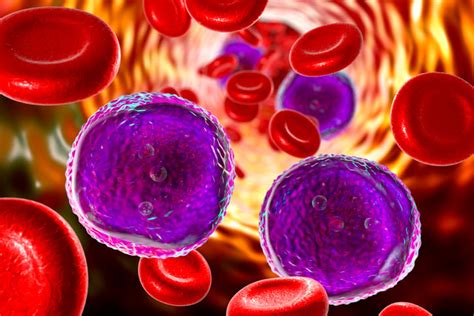 Abbvie Genmabs Bispecific Antibody Epcoritamab Achieves High Rate Of