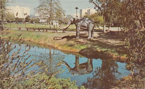 The La Brea Tar Pits California Postcard California Art Los Angeles
