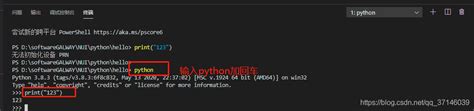 Vscode进行python单步交互，如何解决 无法初始化设备 Prnvscode 单步不行python Csdn博客