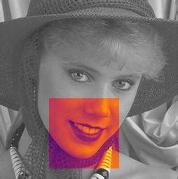 Python X Apply Heat Map To The Opencv Rectangle Stack Overflow