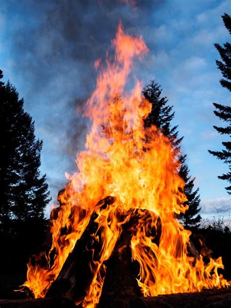 Outdoor Bonfire Stock Image Image Of Danger Forest 53443527