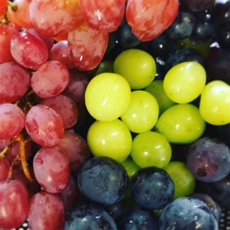 Mopper のroom 欲しい に出会える。