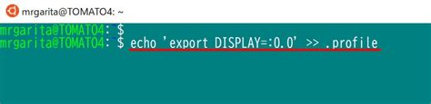 wslでguiアプリ実行エラー：error can t open display の対処法 人生は読めないブログ