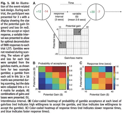 Parametric Modulation In Spm Fsl And Afni — Andys Brain Book 10 Documentation