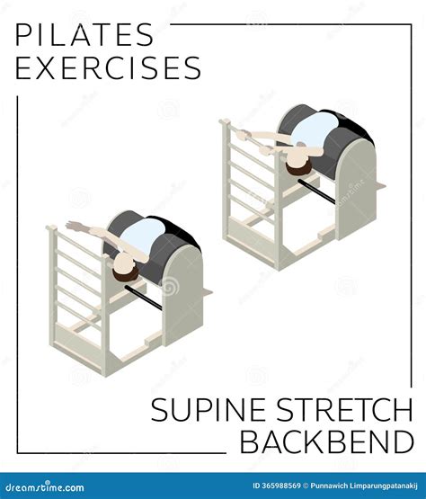 Pilates Exercise Pose Set Locust Pose On The Barrel Vector
