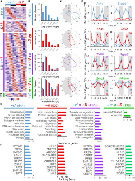 Sexual Dimorphism Of Circadian Liver Transcriptome Iscience