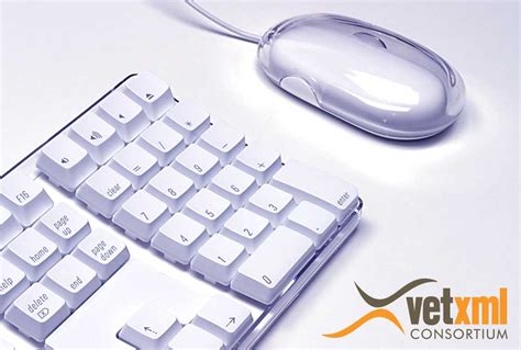 Pet Microchip Registration Paper Online And Direct From Vets