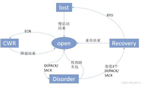 Linux Tcp Cc状态机