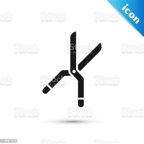 흰색 배경에 고립 된 아이콘을 트리밍 검은 원예 수제 가위 나무 손잡이가 있는 가지치기 가위 벡터 일러스트레이션 가위에 대한 스톡 벡터 아트 및 기타 이미지 Istock