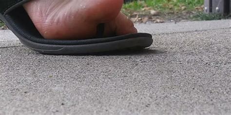 Bug Crush Video 7 ThisVid Com Bug Crush Video 7 ThisVid Com