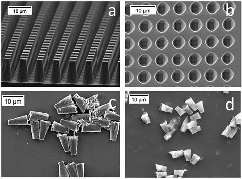 Microcontainer Film Technology For Biomed Incaptek