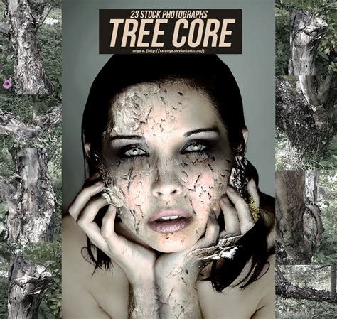 Tree Core Stock By Xx Anya On Deviantart Tree Core Stock By Xx Anya On Deviantart