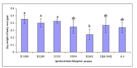 Agrobacterium Rhizogenes Semantic Scholar