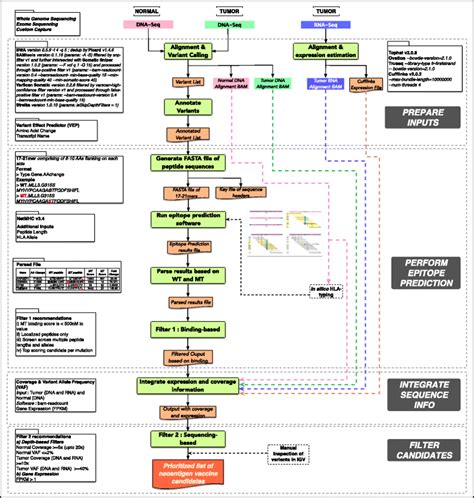 PVAC Seq Workflow Sixth Researcher