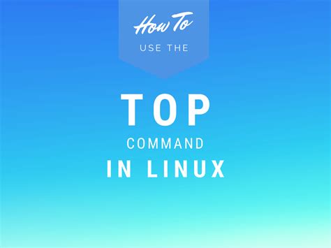 How To Use The Linux Top Command Linuxfordevices