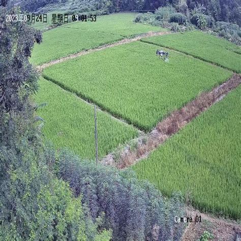 precision agriculture semantic segmentation dataset and pre trained