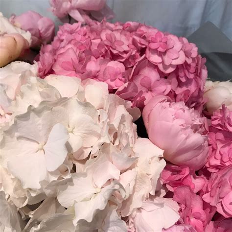 Пионы и гортензии - купить в СПБ с доставкой в Kraft Flowers
