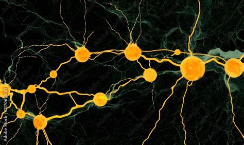 Microscopic View Of Interconnected Neurons With Glowing Axons And Cell Bodies Stock