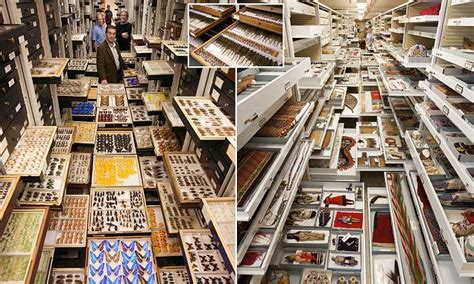 The Backroom Collections Of The National Museum Of Natural History