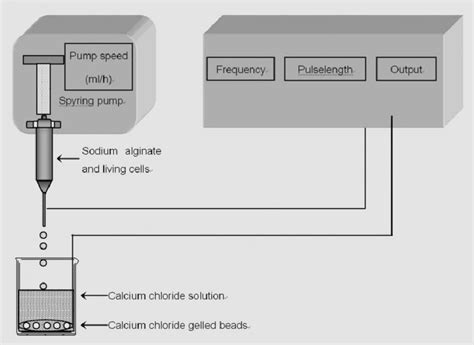 The Basic Set Up Of Microencapsulation Download Scientific Diagram