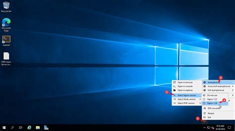 usage guidelines web open server on windows server 2019 dc virtual
