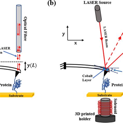 A Schematic Of Interferometer Based Afm Equipped With Base Excitation Download Scientific