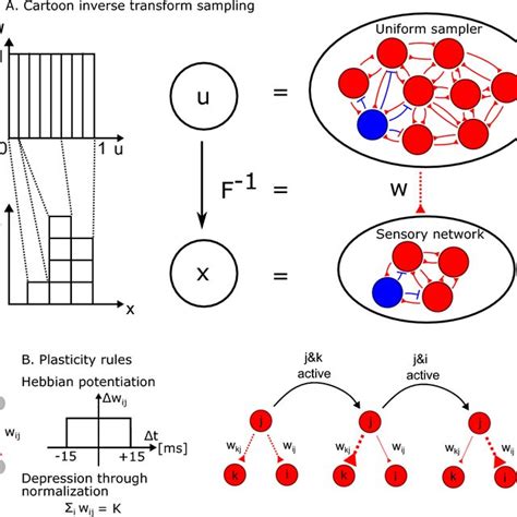 A Model Designed To Learn Statistical Structure A Cartoon Of The