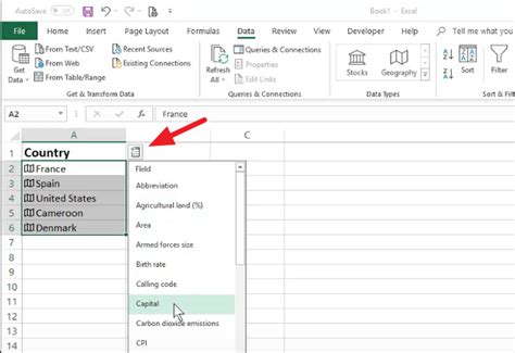 So Verwenden Sie Den Geografischen Datentyp In Excel