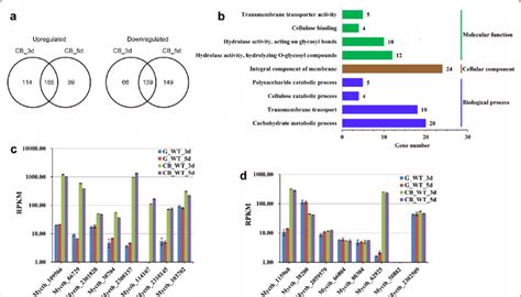 Genes With Statistically Significant Differences In Transcript Levels Download Scientific