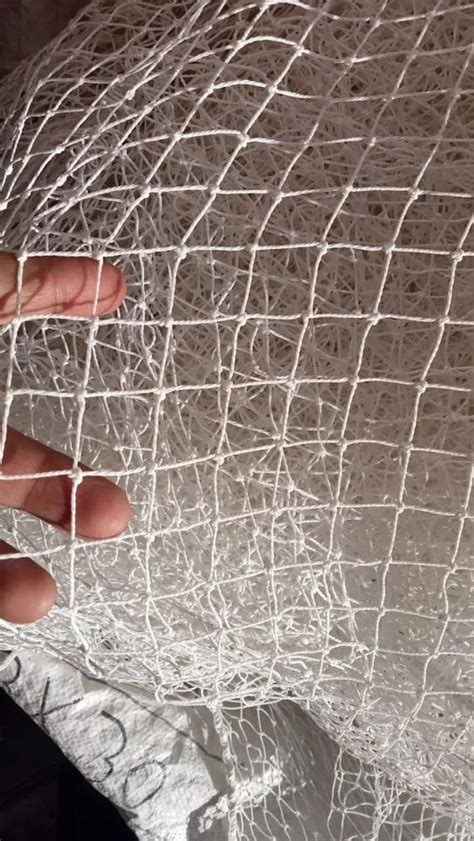 Bird Netting Services At ₹ 11 Sq Ft In Jaipur Id 2855498471291