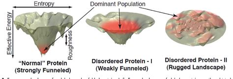 Figure 2 From Structural Heterogeneity And Dynamics Of The Unfolded