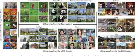 Figure 1 From A Review Of Co Saliency Detection Algorithms Semantic