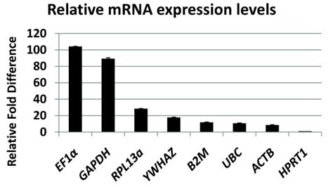 Relative Mrna Expression Levels Of Normalization Genes In Miami Cells