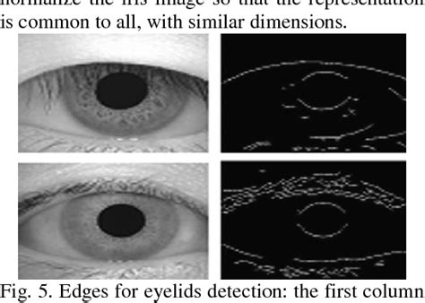 Figure 5 From Iris Recognition System Using Gabor Wavelet Semantic Scholar