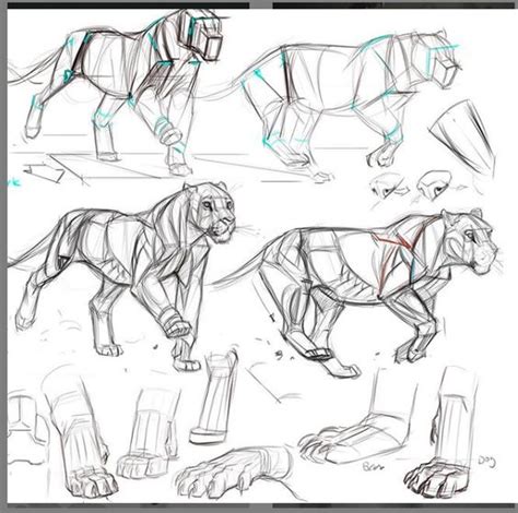 Lion Drawing Tips And Techniques For Creating Cool Art