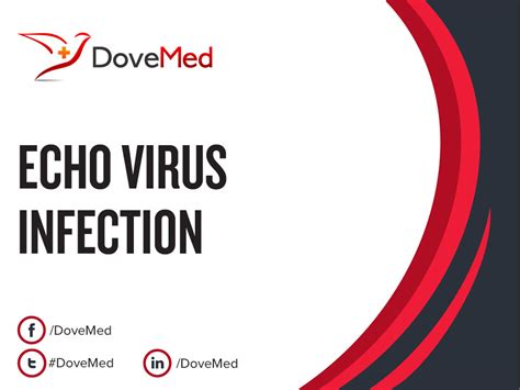 Echo Virus Infection