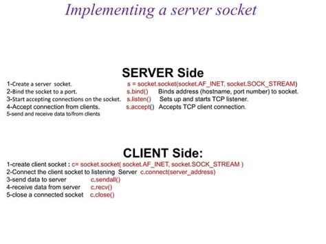 Network Programming Python Pptx