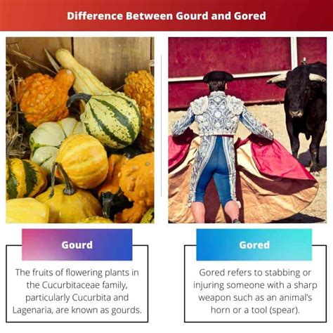 Gourd Vs Gored Difference And Comparison