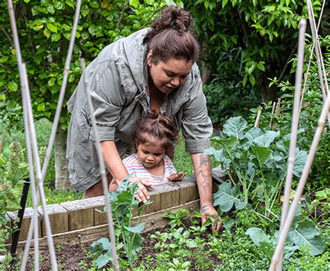 Healthy Living To Prevent Cancer For Our Mob Cancer Institute Nsw