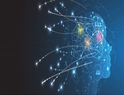 Silicon Coder Career Consulting Learning And Job Assistance