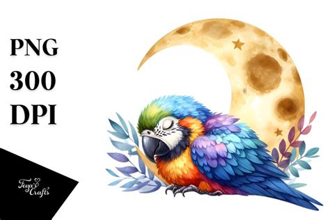 Colorful Macaw Sleeping Moon Watercolor